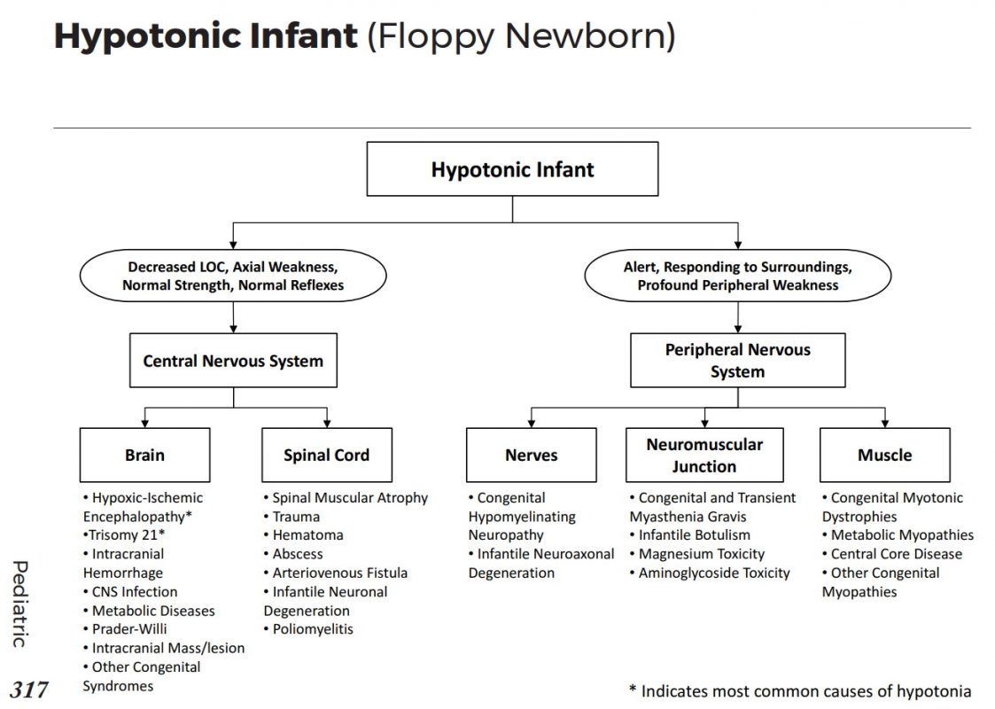 What is hypotonia? How does it affect my child?